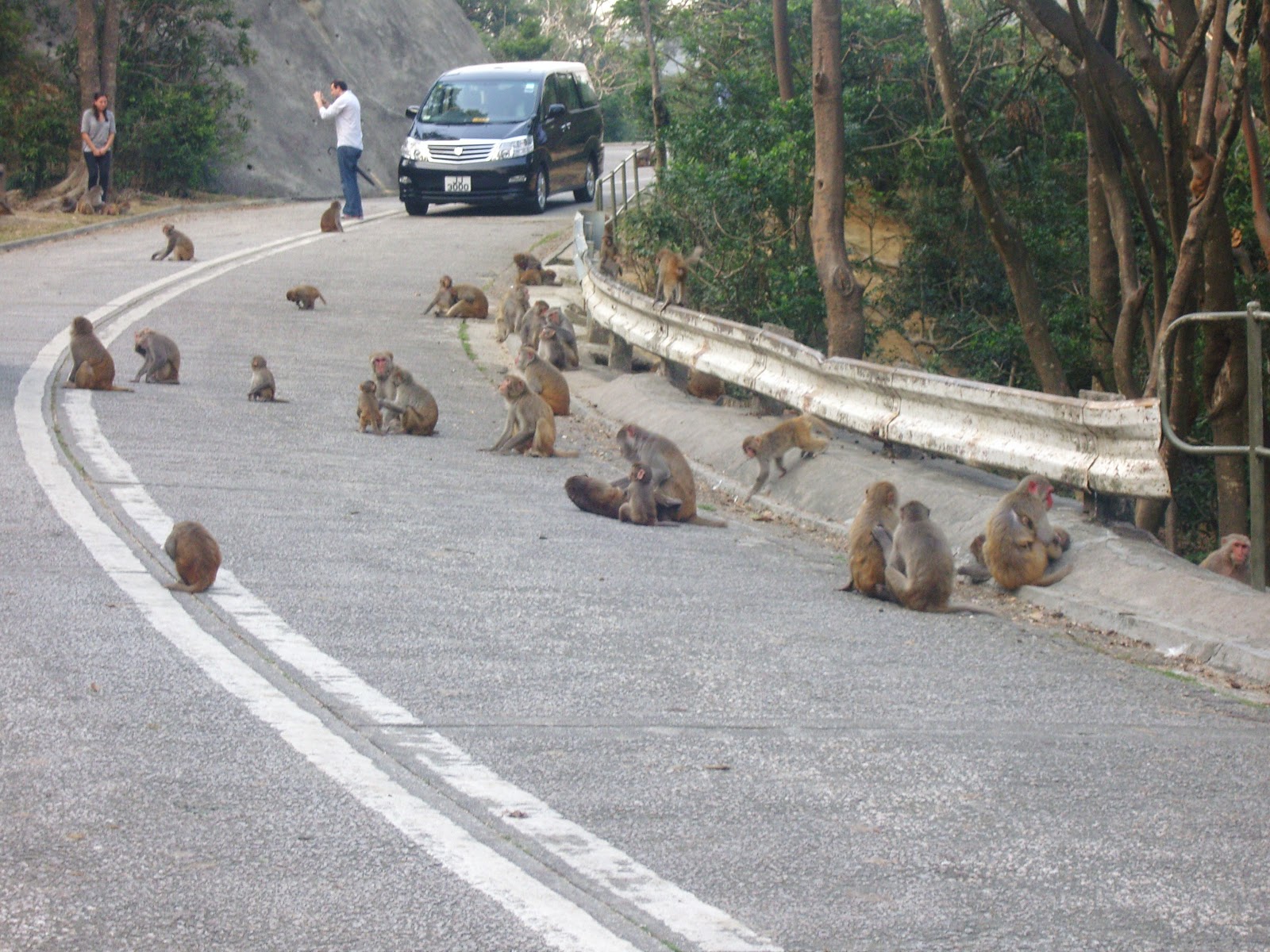 Hong Kong, An Asian Life for Me: Monkey Mountain.