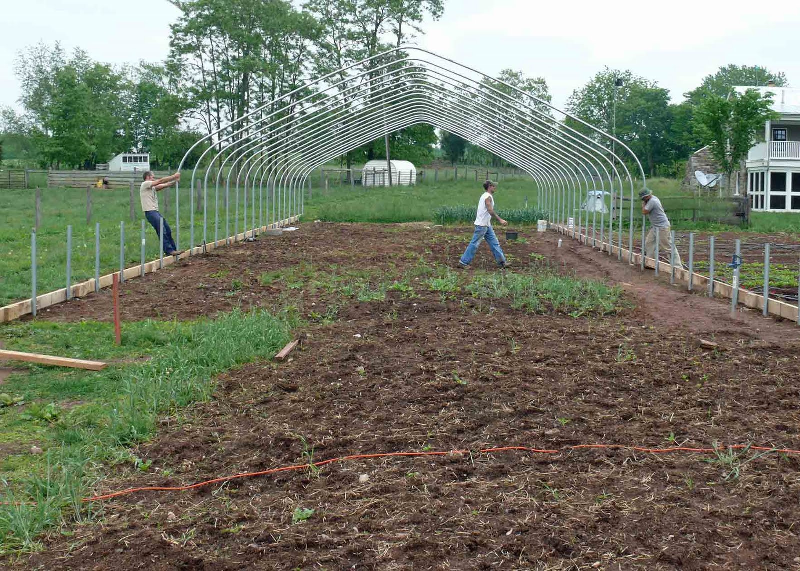 Whitmore Farm: HOOP house heaven! (or why cold greenhouses are COOL!)