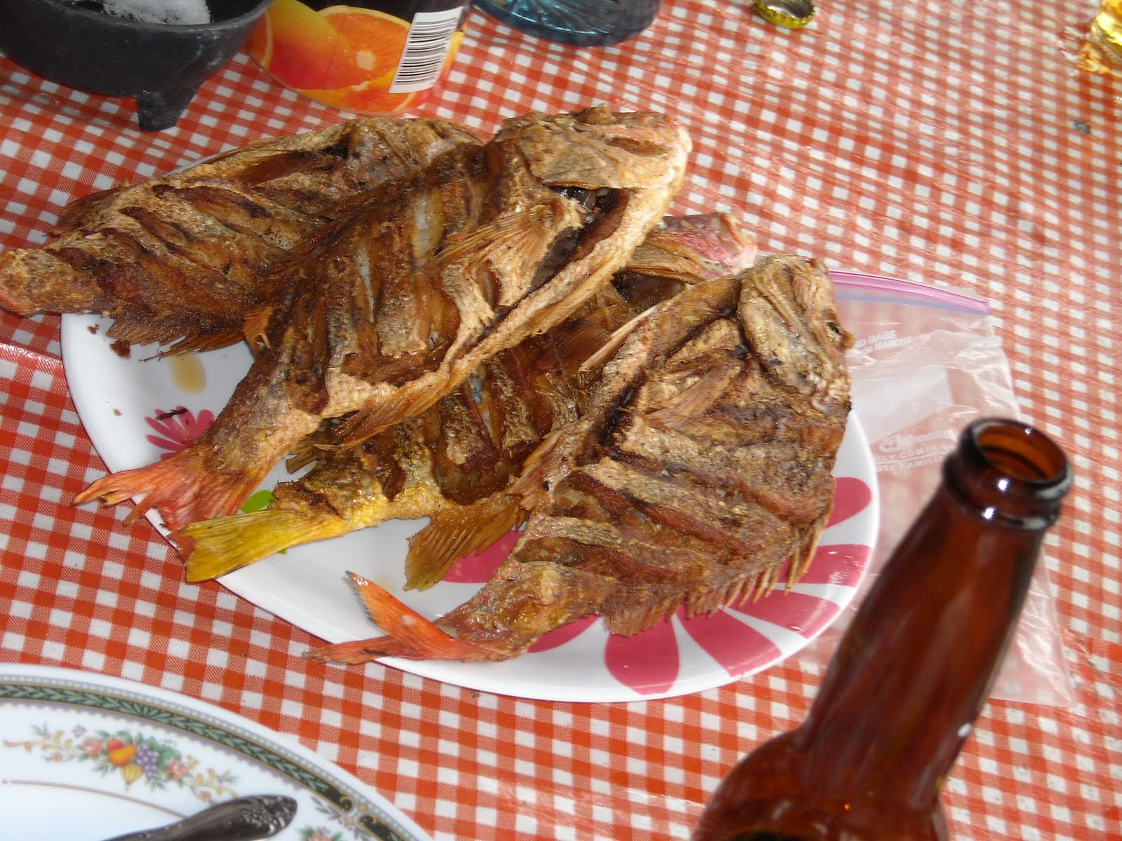 Terria Gary: Don Pancho Party! Javier, Coco, Roberto, Gary, I.