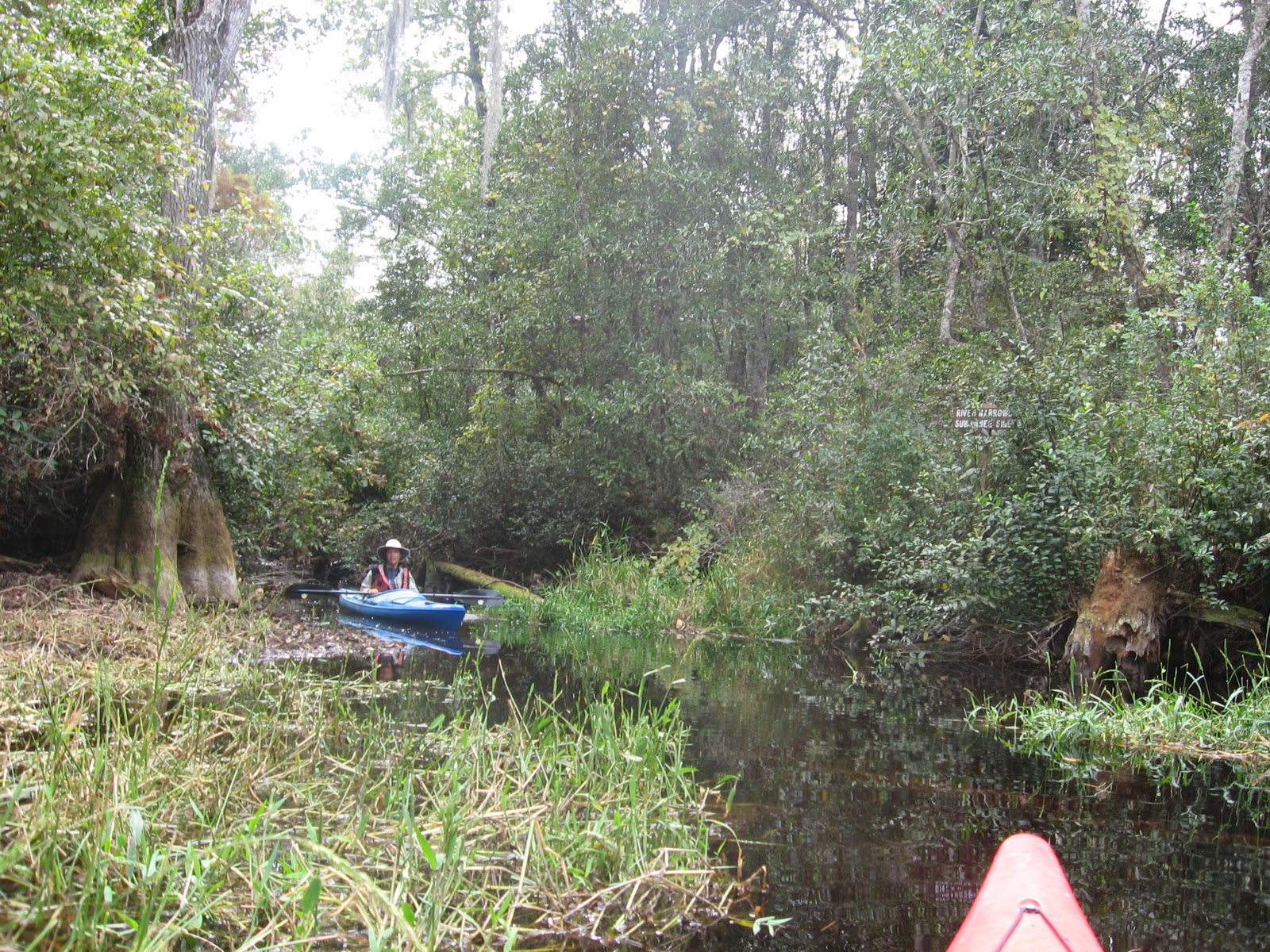 In the Direction of Our Dreams: To the Narrows and Back