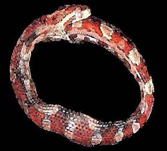 About Me: Hoop Snake