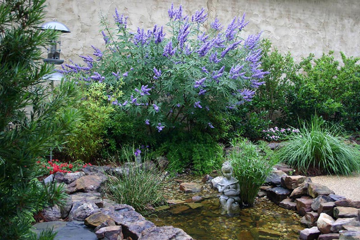 Southern Lagniappe: Blue Flowers