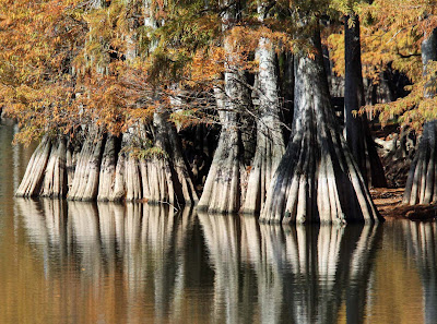 Southern Lagniappe: A visit to Lake Providence, Louisiana