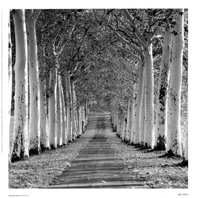 Ginger Photography: Unit 208 theme 1 -Charlie Waite -Landscape ...