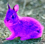 Condemnation : r/SOTE