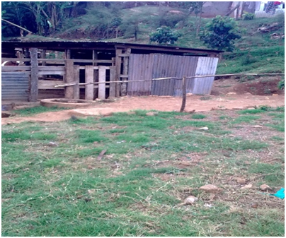 Ecosan Kenya Network: Meru Prison Biogas sanitation - DEWATS
