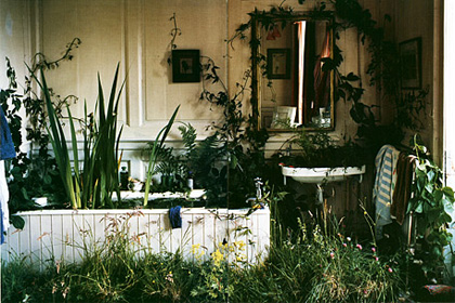 Whispered Whimsy Vintage: TIM WALKER