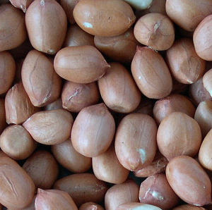 Alimentation crue originelle: Manger cru: les arachides décortiquées