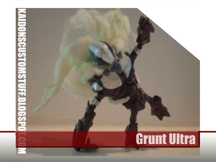 Kaidon's Custom Stuff: Grunt Ultra