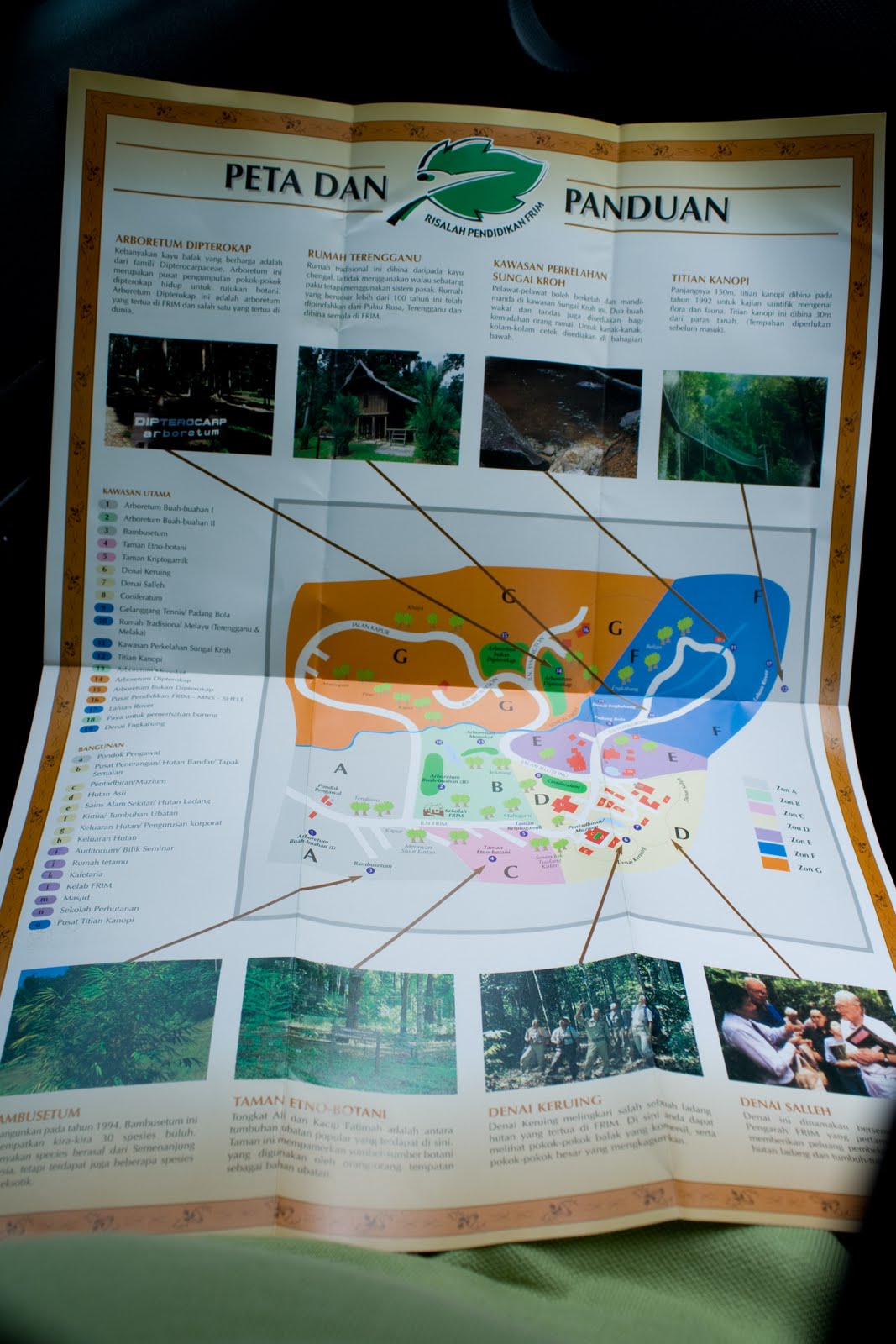 Cayril-z: Lawatan ke Hutan FRIM