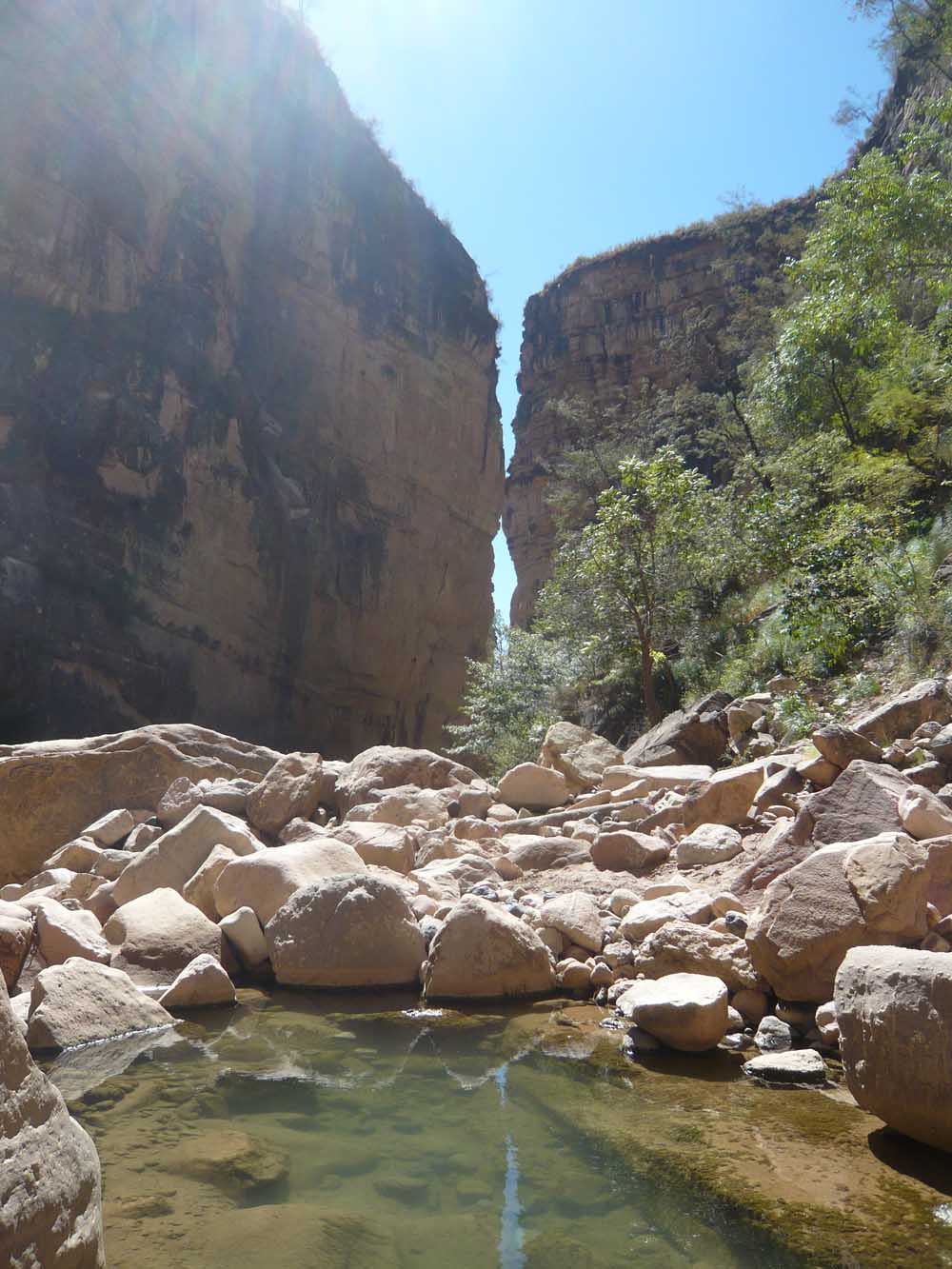 the magic red carpet