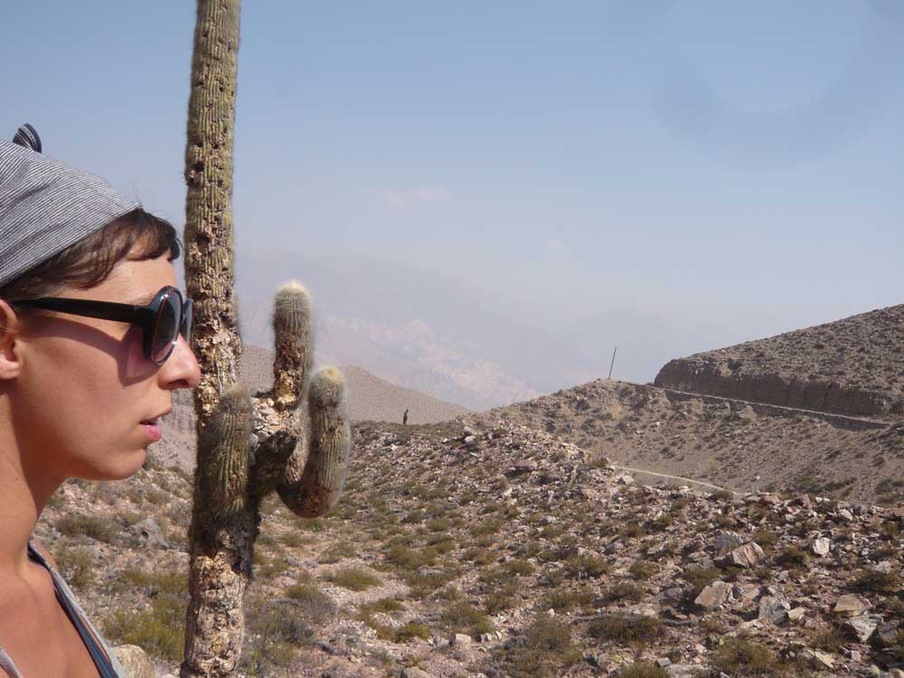 the magic red carpet