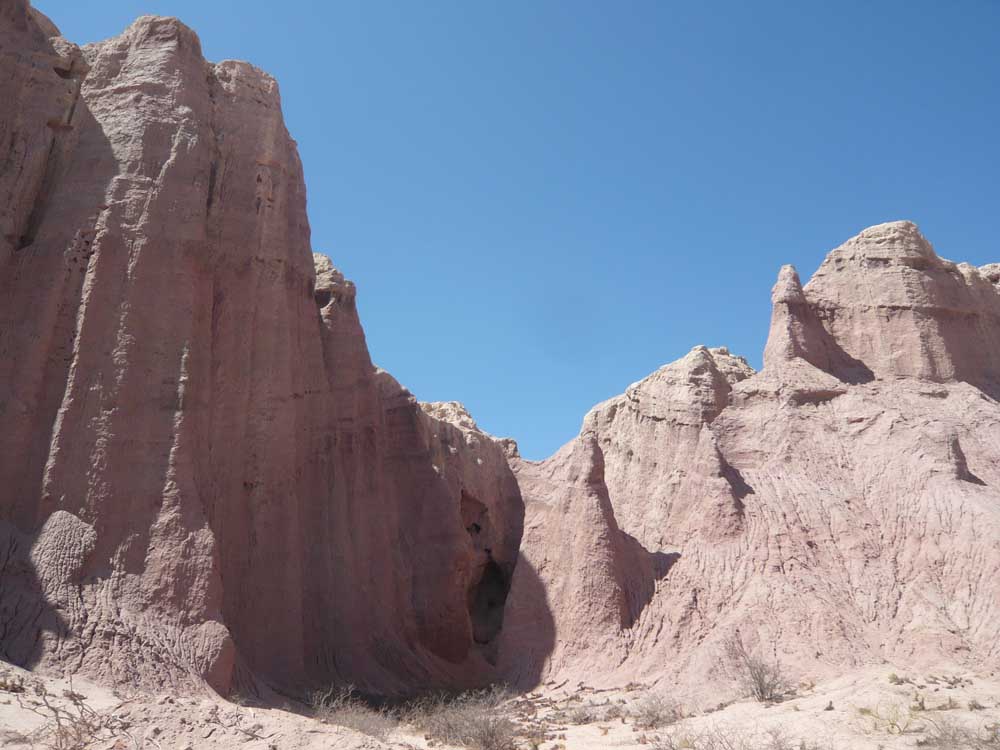 the magic red carpet