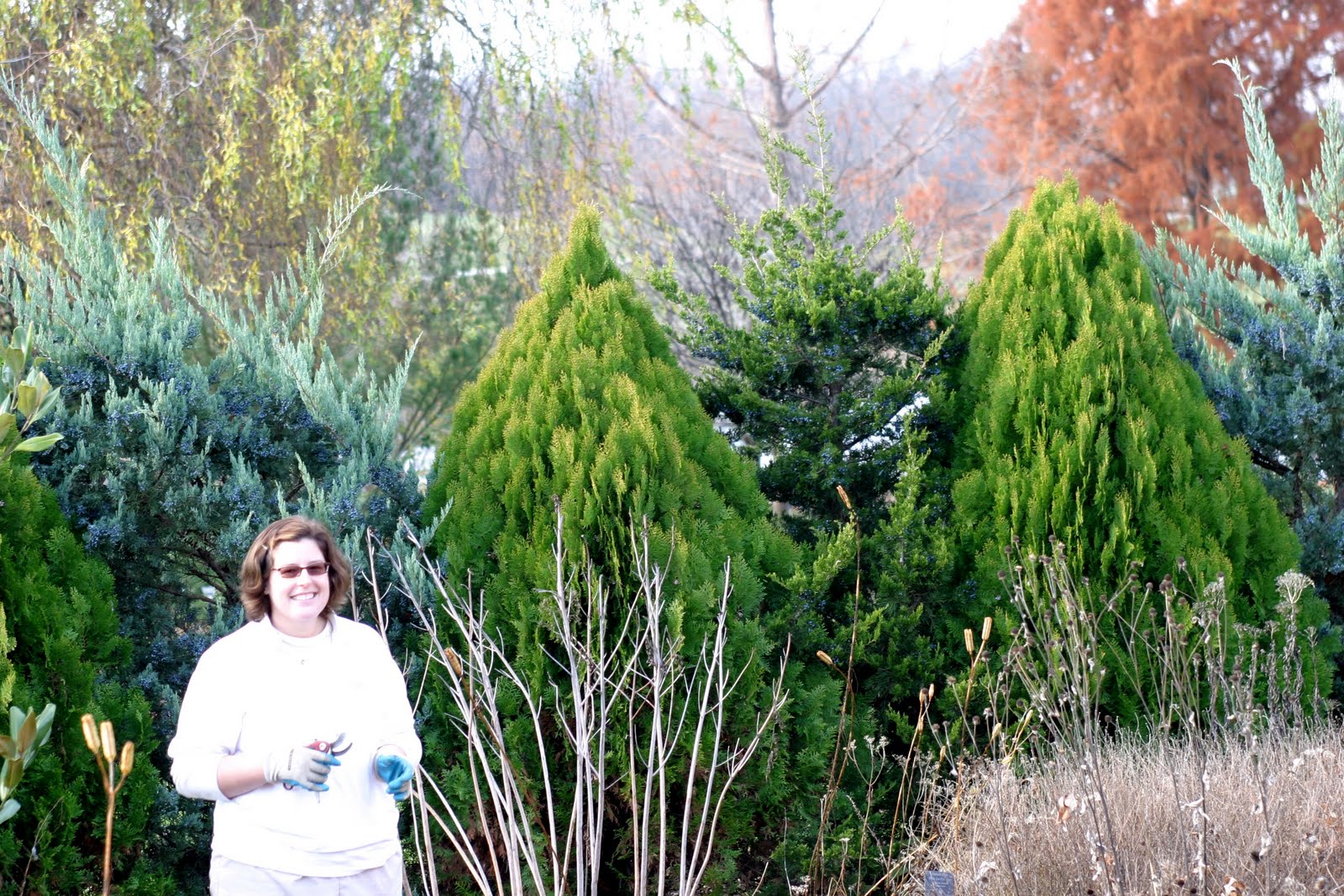 Powell Gardens' Blog: Thanksgiving 2009