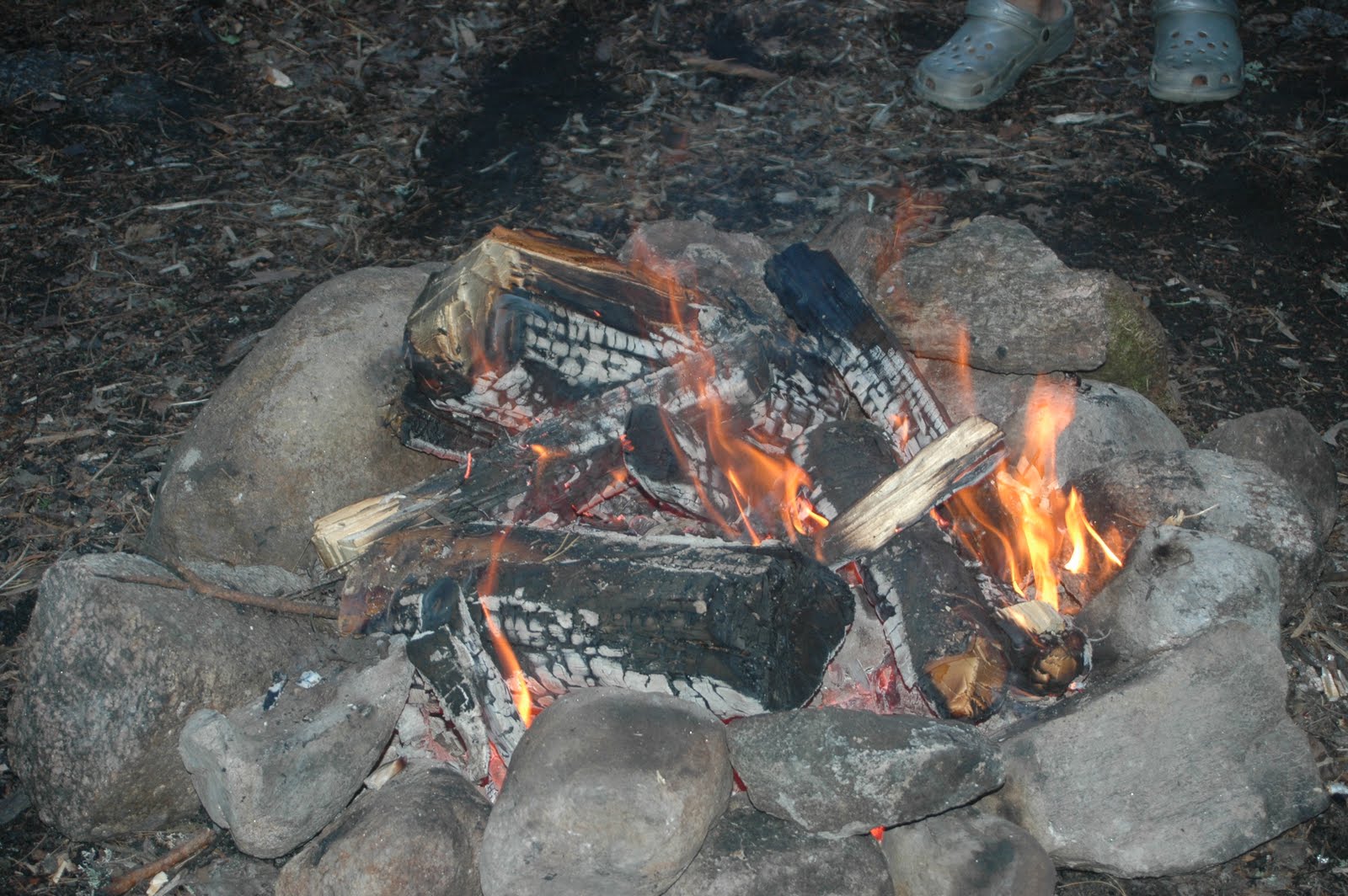 Ericas Utsikt: Naturen, vår själs läkning