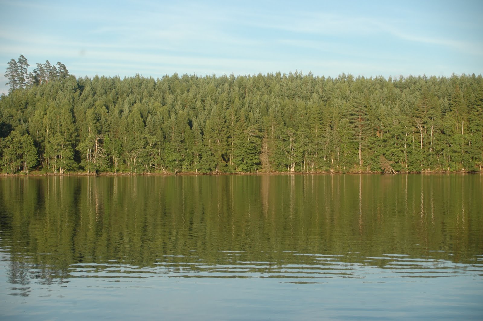 Ericas Utsikt: Naturen, vår själs läkning