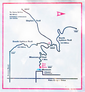 Molly's BIG Adventure