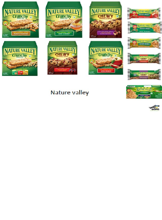 General Mills: General Mills India Pvt. Ltd.
