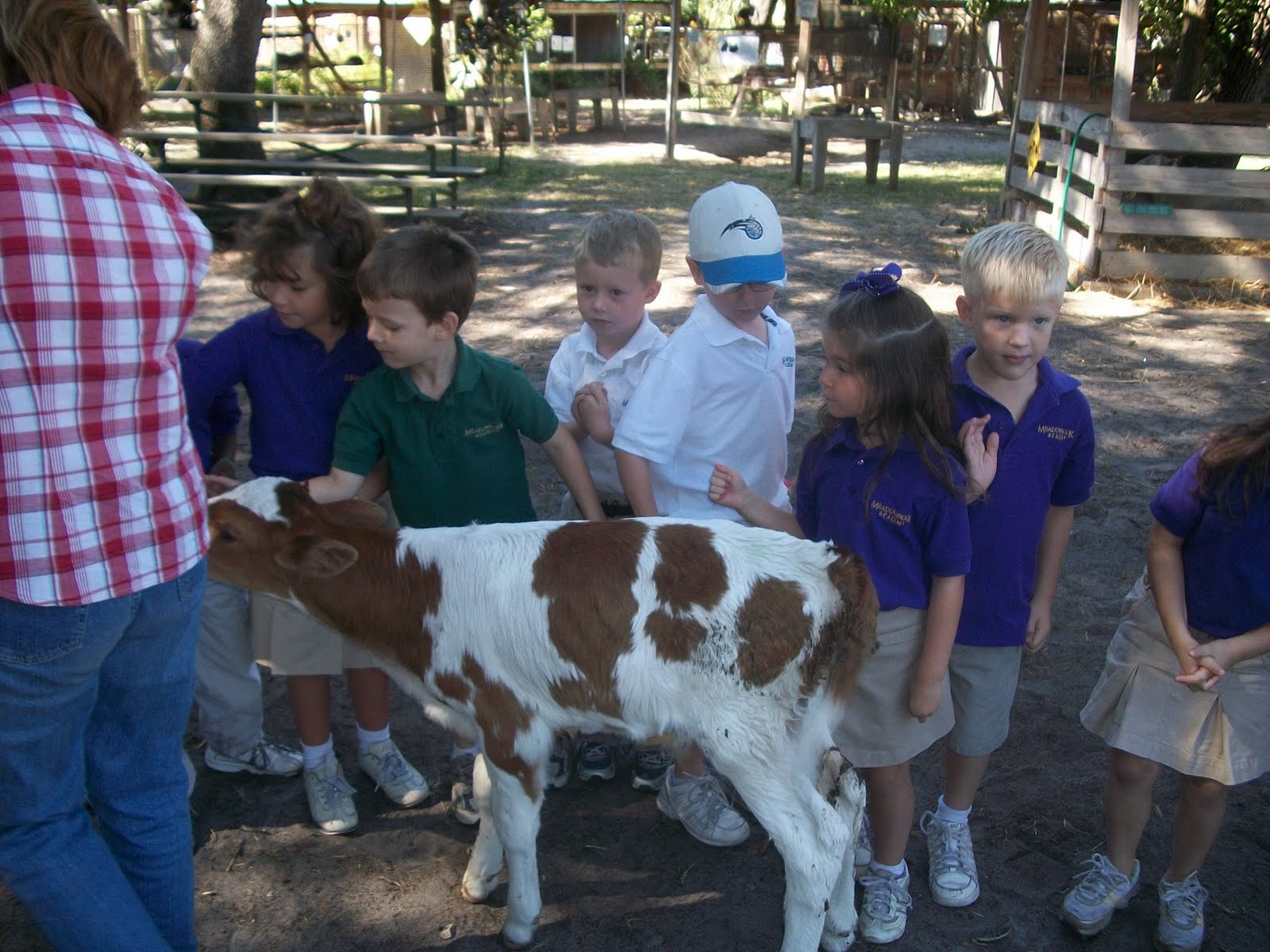 Our Story: Uncle Donald's Farm