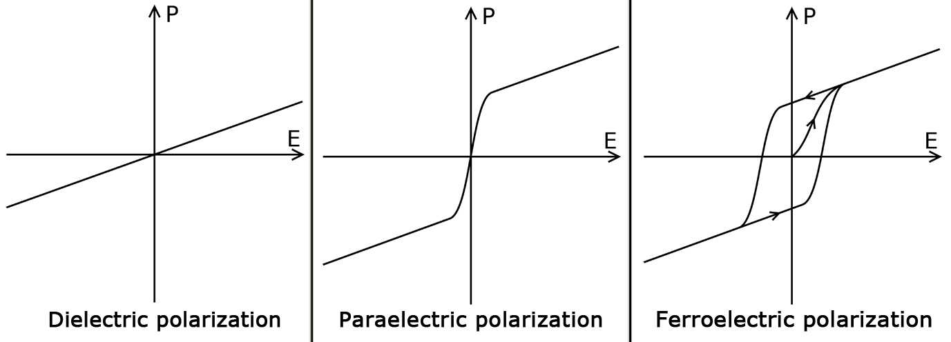 Faculty Science: Ferroelectricity