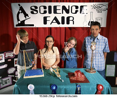 Science Fair Projects and Ideas: How to Organize a School Science Fair