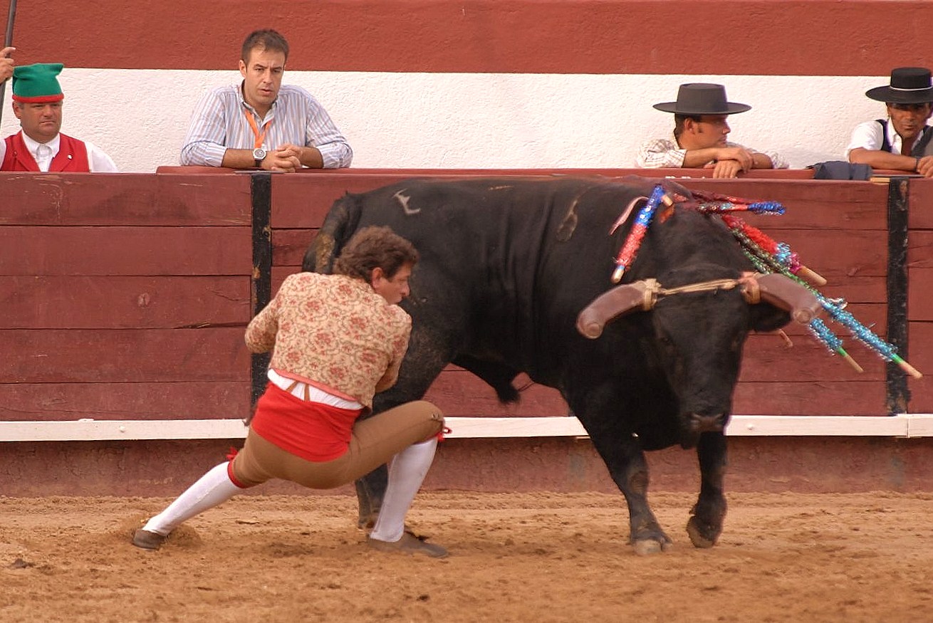 Grupo Forcados Amadores Coruche: Coruche 17/8/2010