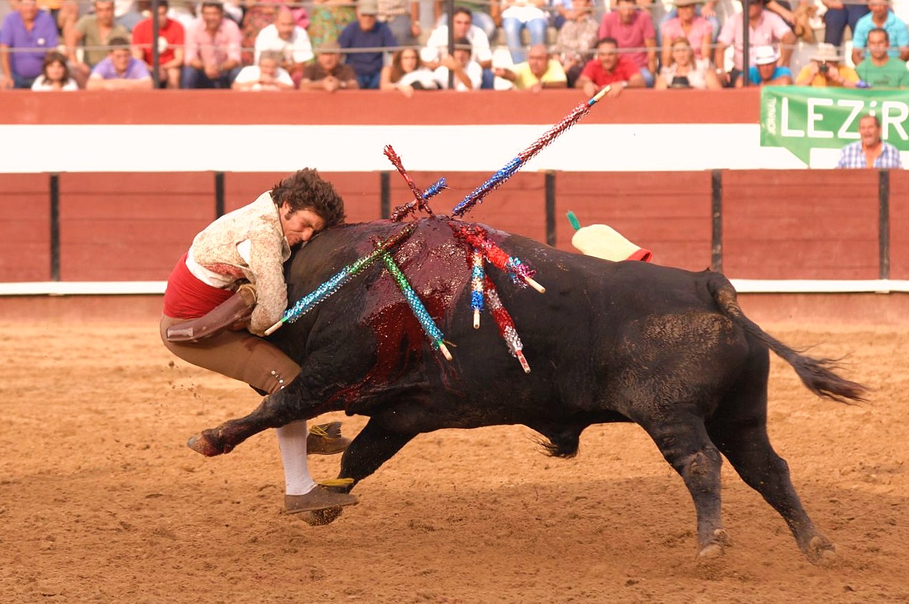 Grupo Forcados Amadores Coruche: Coruche 17/8/2010