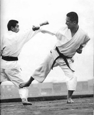 Shotokan Karate - art of the empty hand: Traditional Martial Arts (TMA)