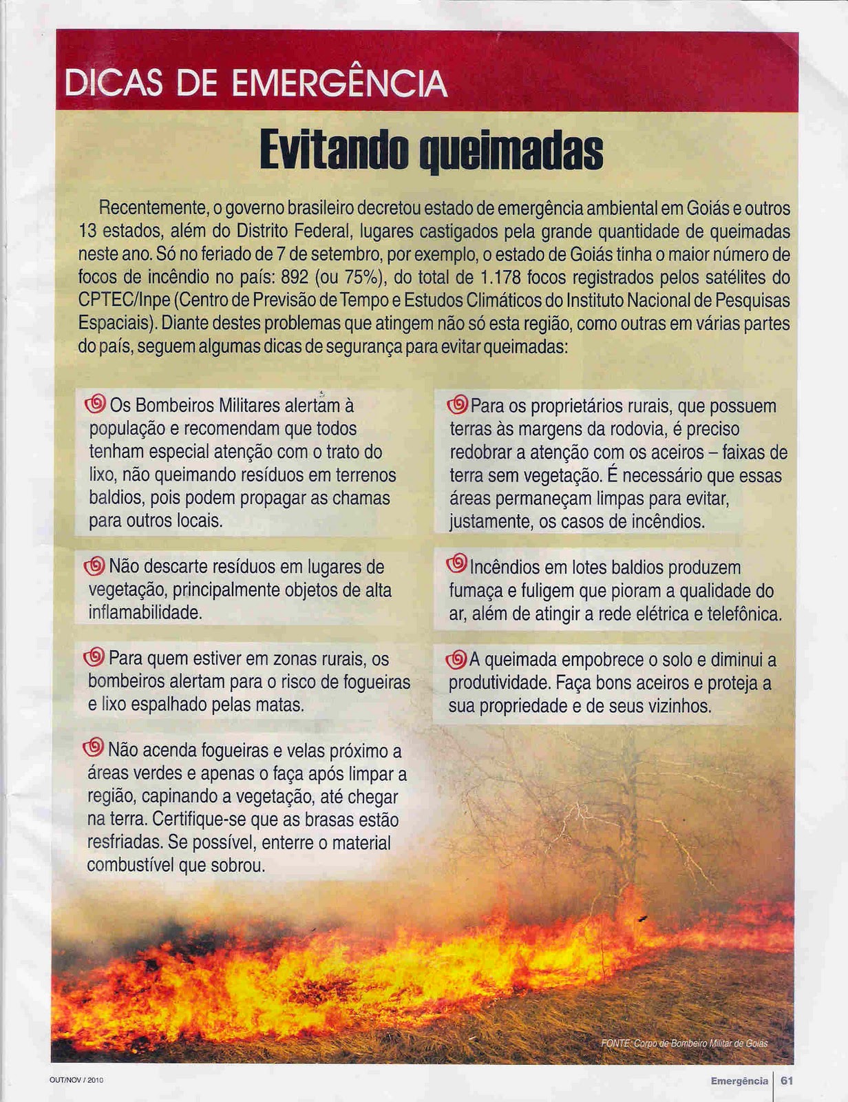 Redação Sobre As Queimadas - BRAINCP