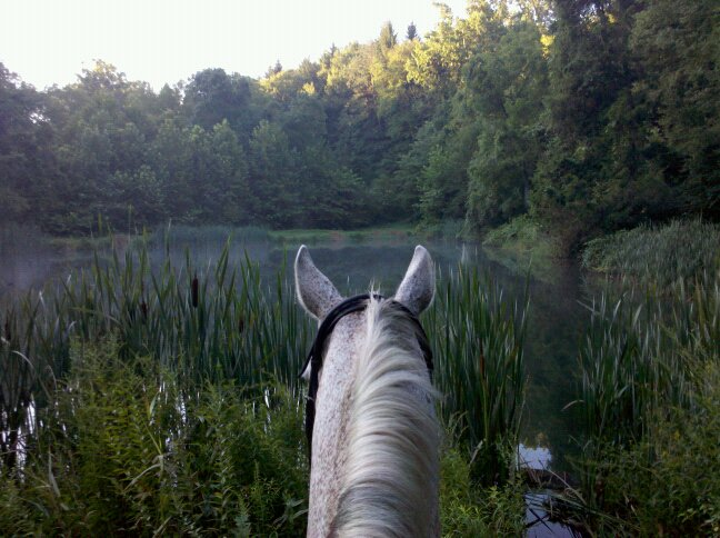 River Hills Foxhounds: Day 7 of Cubbing... August 23rd, 2010