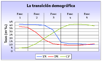 ClaudiaGT: La transición demográfica: fases y características