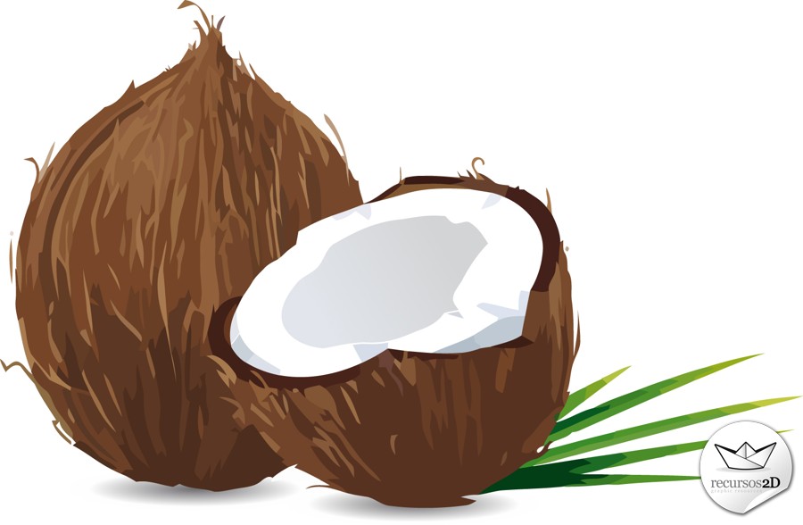 Vector de Coco (Coconut Free Vector) | Recursos 2D