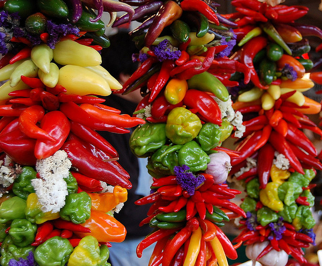 greeny crops: Pepper (Capsicum annuum)