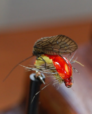River Fly Box: Demos, realistic fly tying & furled leaders