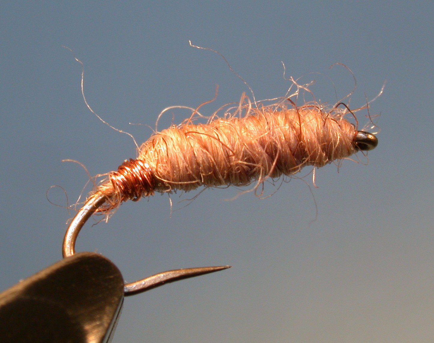 River Fly Box: Killer Bug - a new addition to the RFB