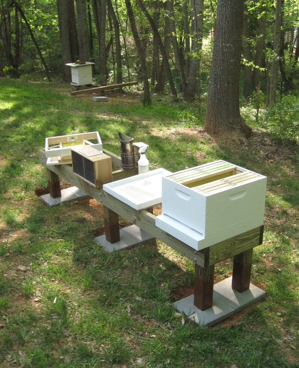 Beaver Creek Bees: Hived the Package Today
