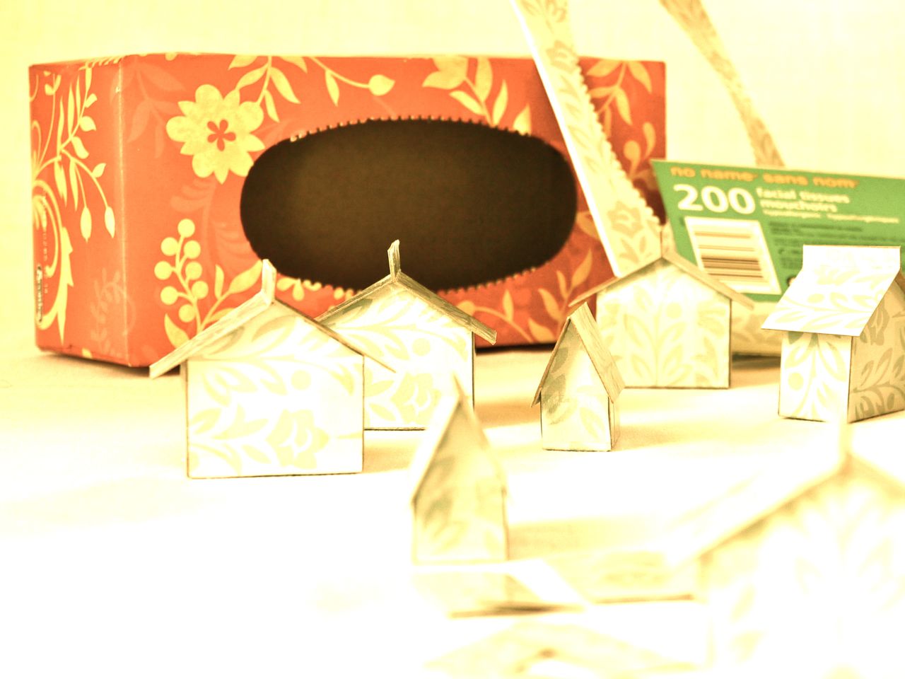 michele made me: The Great Tissue Box Challenge 2010