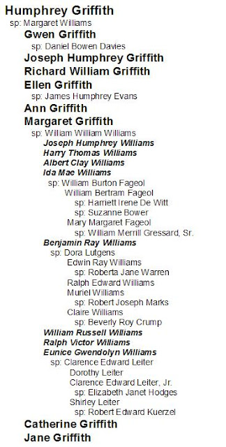 Marksology: Griffith Tree