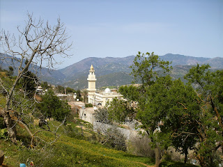 regard sur medea: photo de la ville de medea