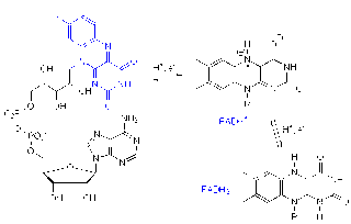 Biofísica: NADH y FADH2 como fuentes de poder reductor