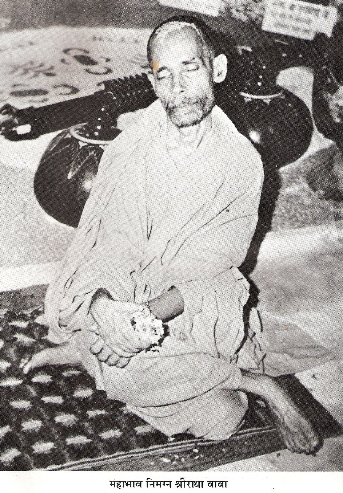 HariHarji: The Glory of Braj-Soil (raj) & Gau Seva for the Utsav of ...