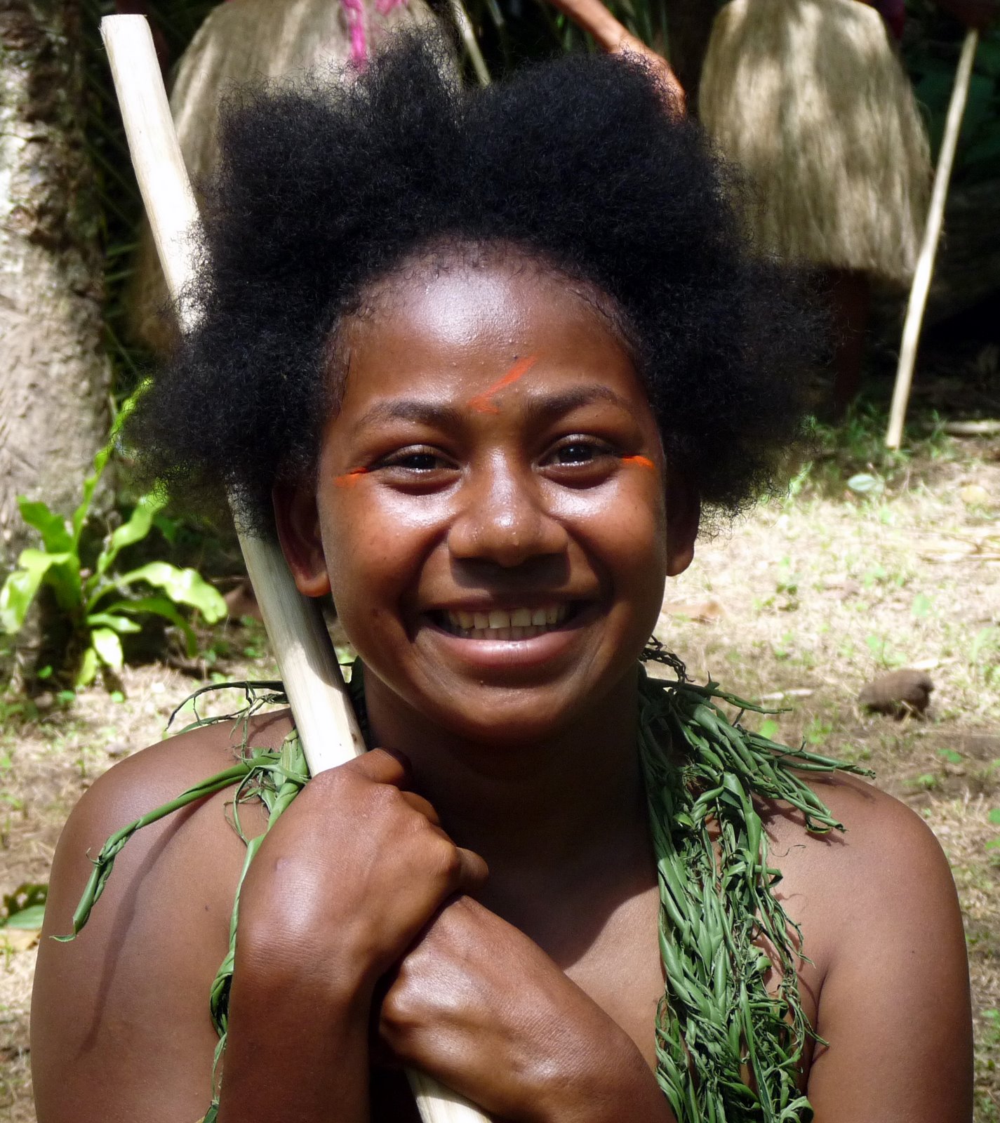 Cop Out's Big Adventures: Ambrym Dancers