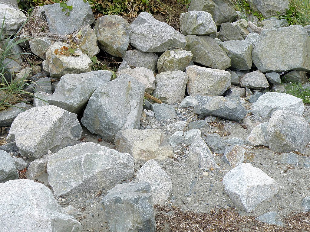 Wanderin' Weeta (With Waterfowl and Weeds): Anti-procrastination: Rock ...