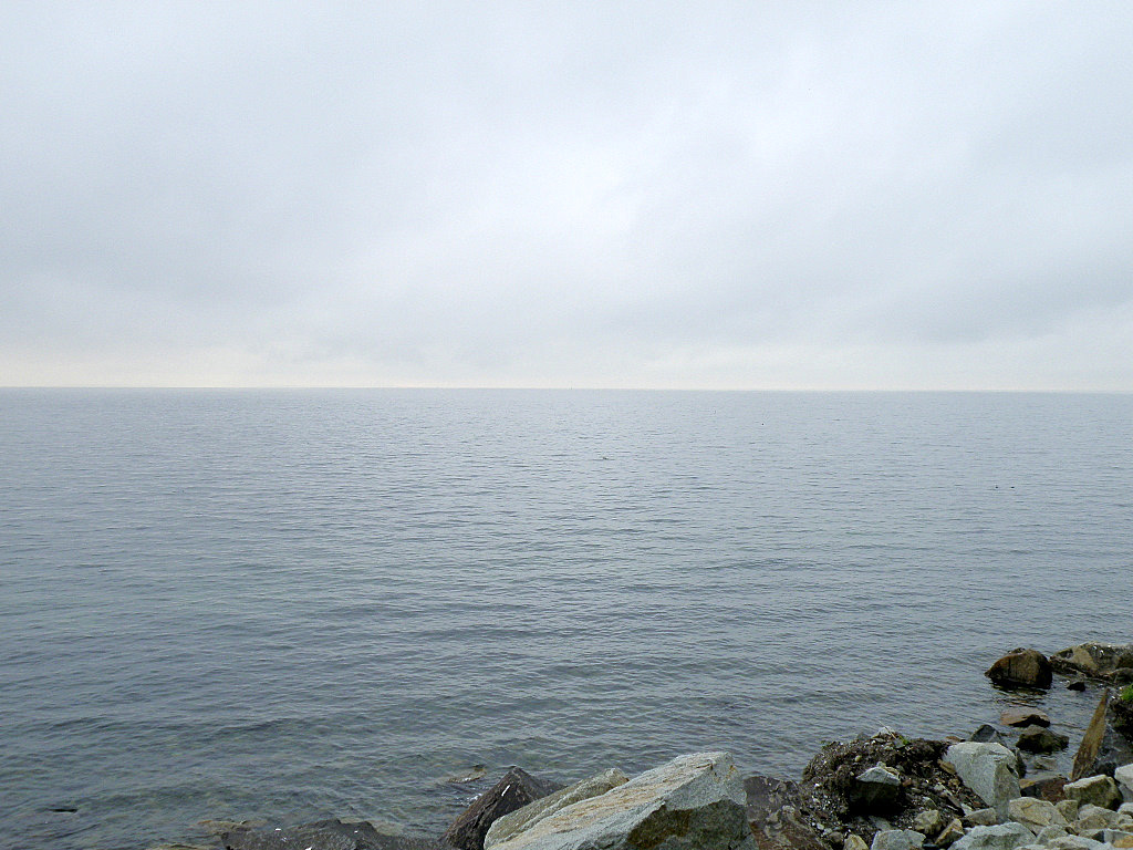 Wanderin' Weeta (With Waterfowl and Weeds): 10/01/2010 - 11/01/2010