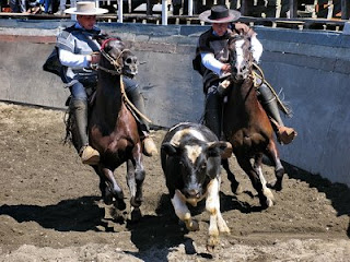 Juegos típicos Chilenos: El Rodeo - Visión Central Chile