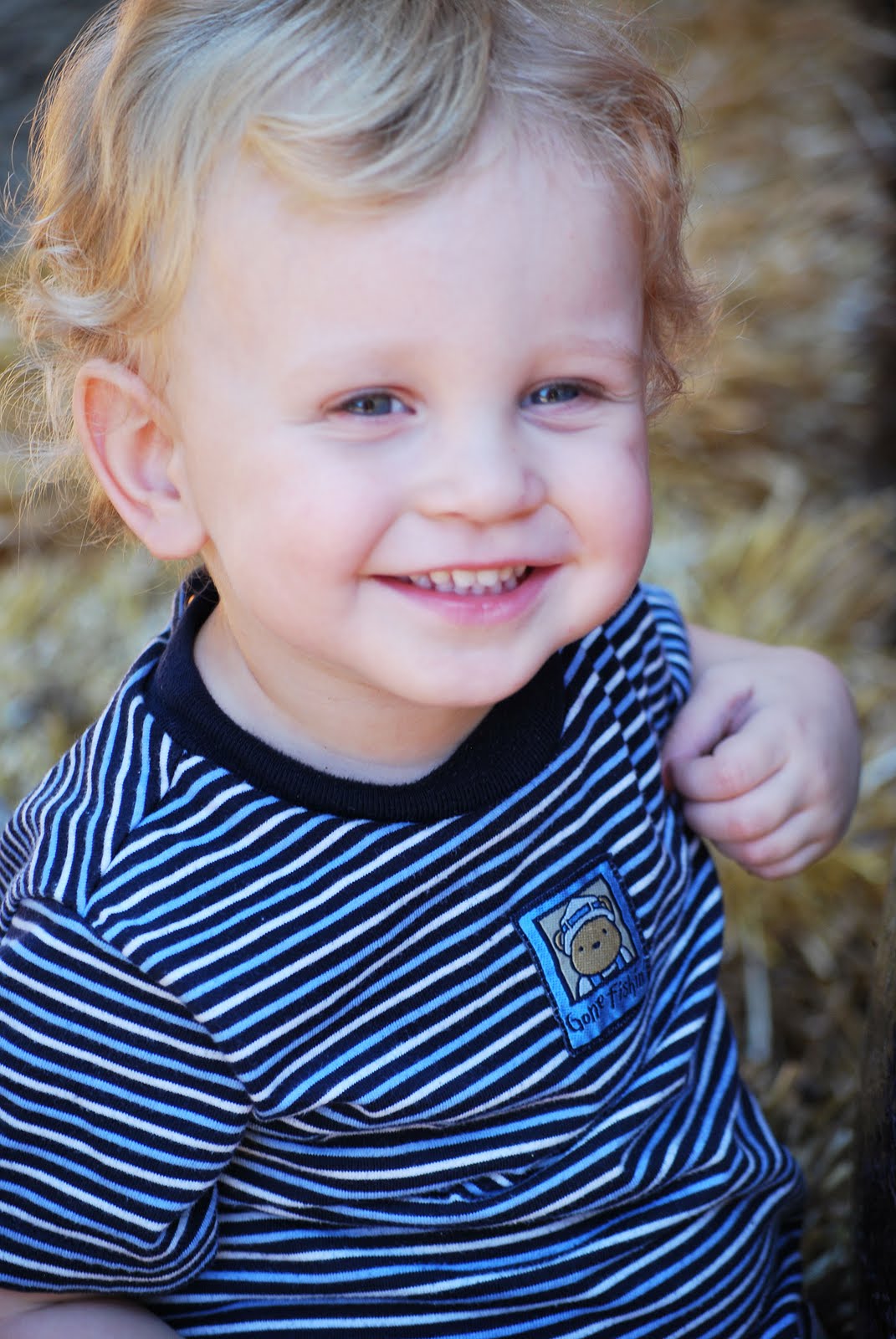 The Schwartz Scripts