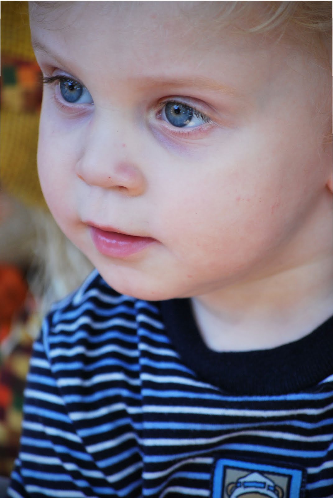 The Schwartz Scripts