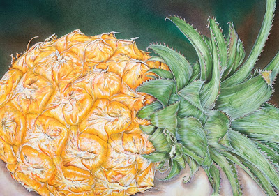 Ali McGee's Illustrations