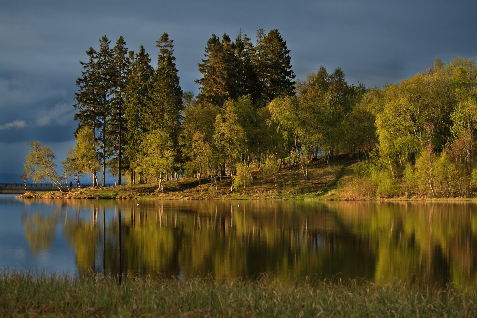 Fotoblogg - Trond Simensen: Beverpels...