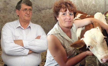 Raka Radović okrivljuje Dragicu za smrt krave Bilje